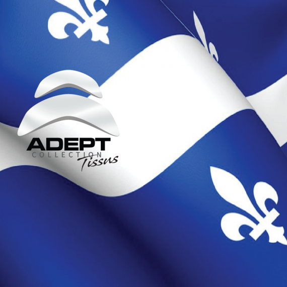 348_Drapeau du Québec Fleur-de-Lys Blanche Bleue – La Boutique Adept ...